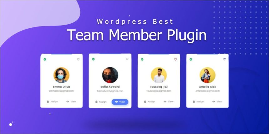 Best WordPress Team Members Plugins 2025 - WPSpeedo